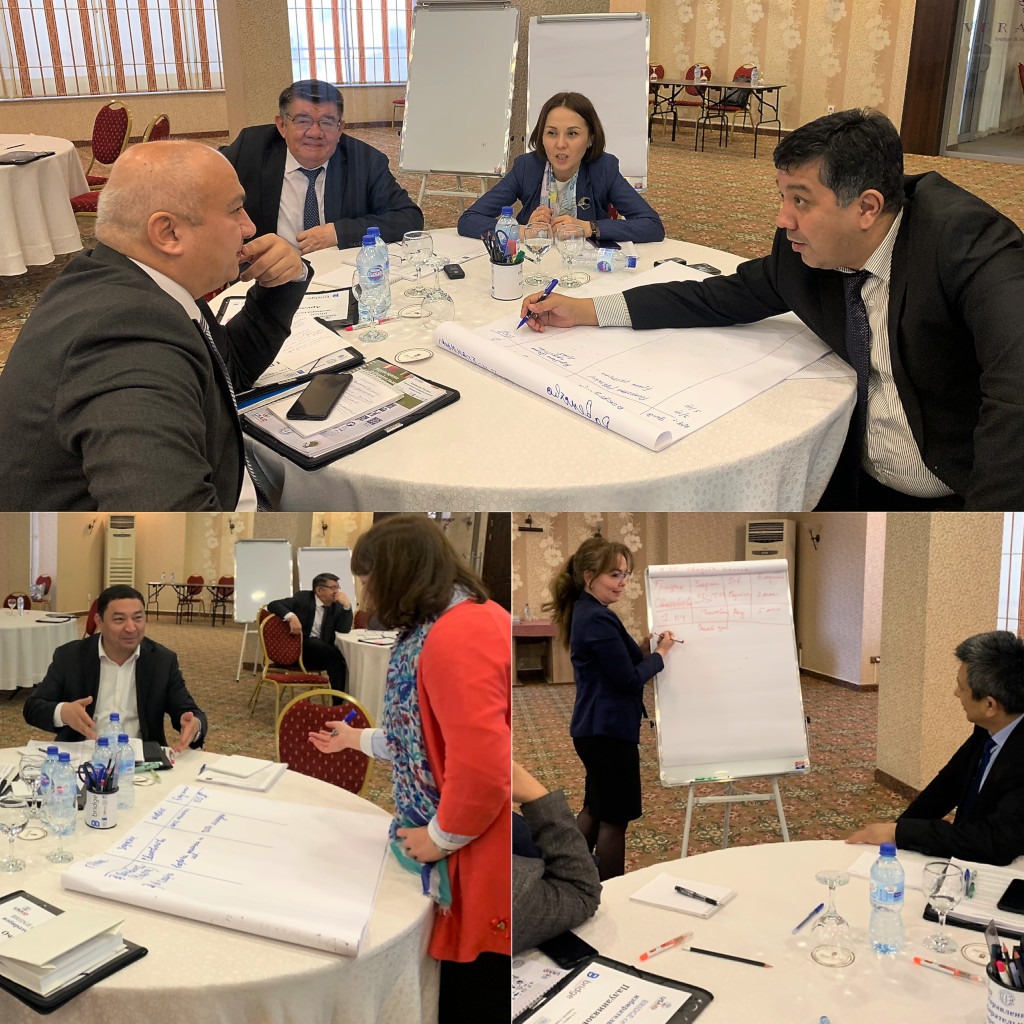 Managing Electoral Processes – BRIDGE