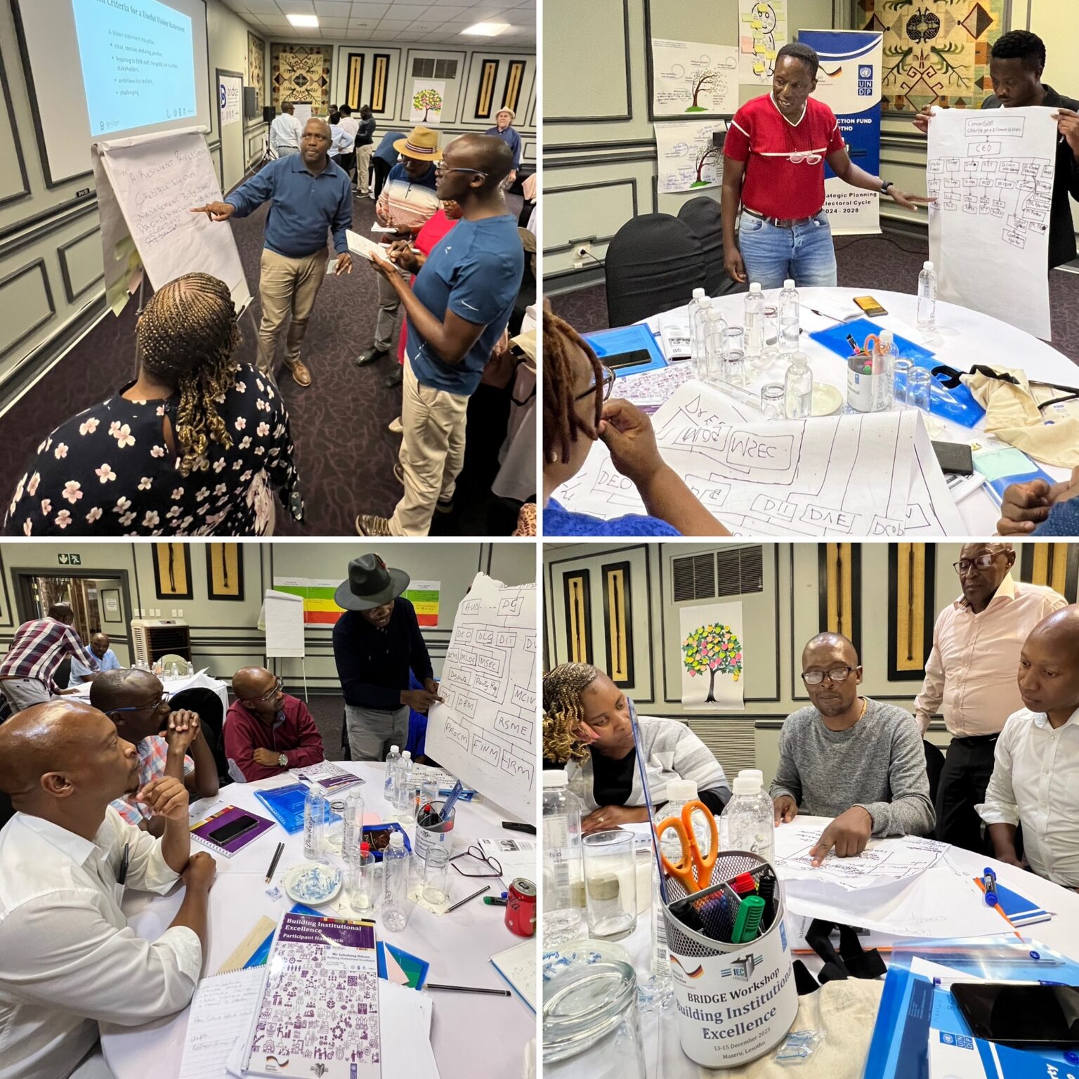 Building Institutional Excellence – Lesotho IEC – BRIDGE