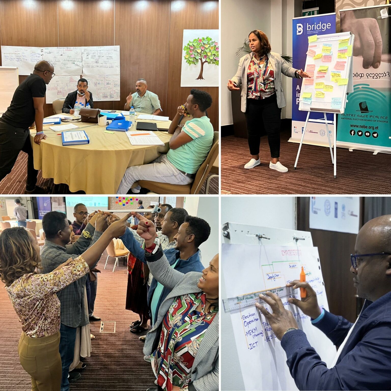 Building Institutional Excellence in Elections Management of Ethiopia ...